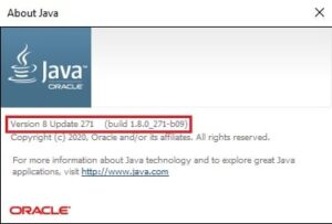 Descargar Java 8 Update 271 - Soporte TIC